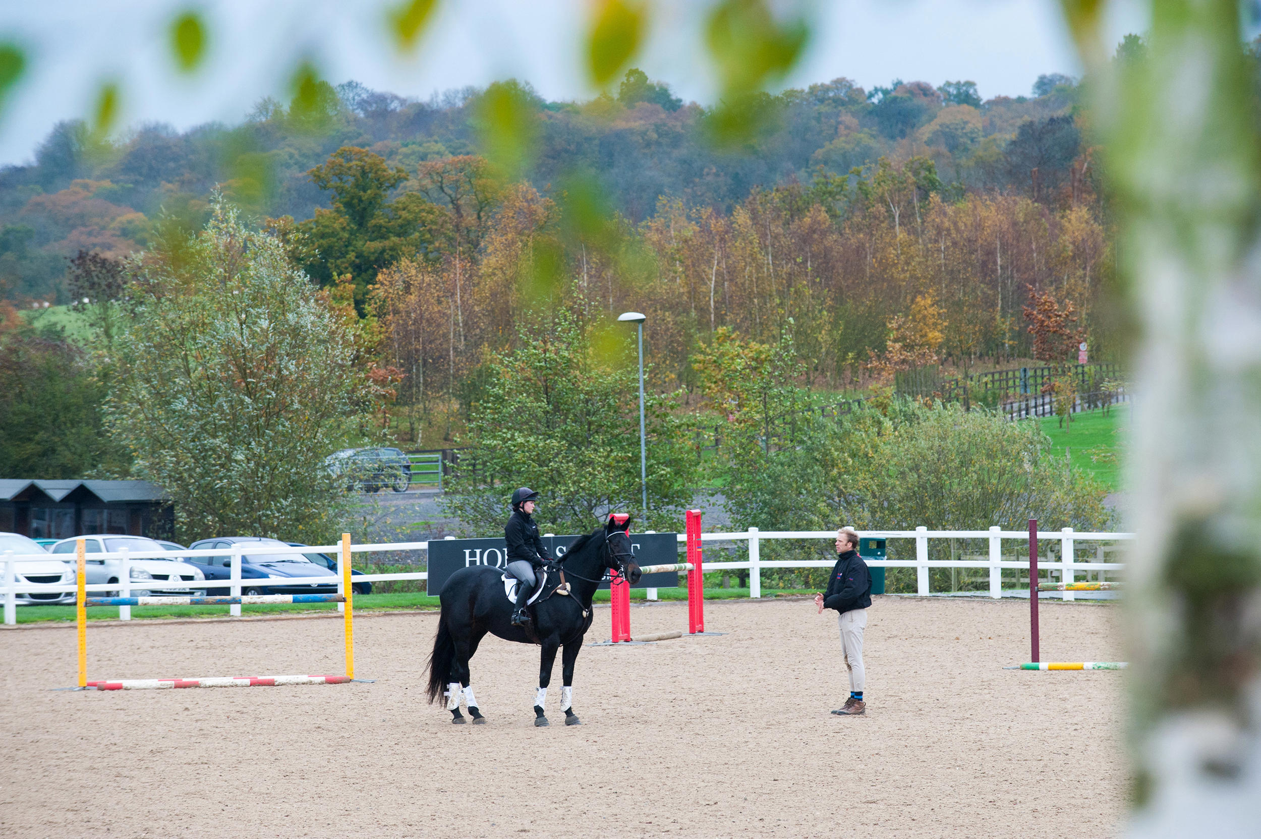 Level 3 Extended Certificate Equine Management (Behaviour)