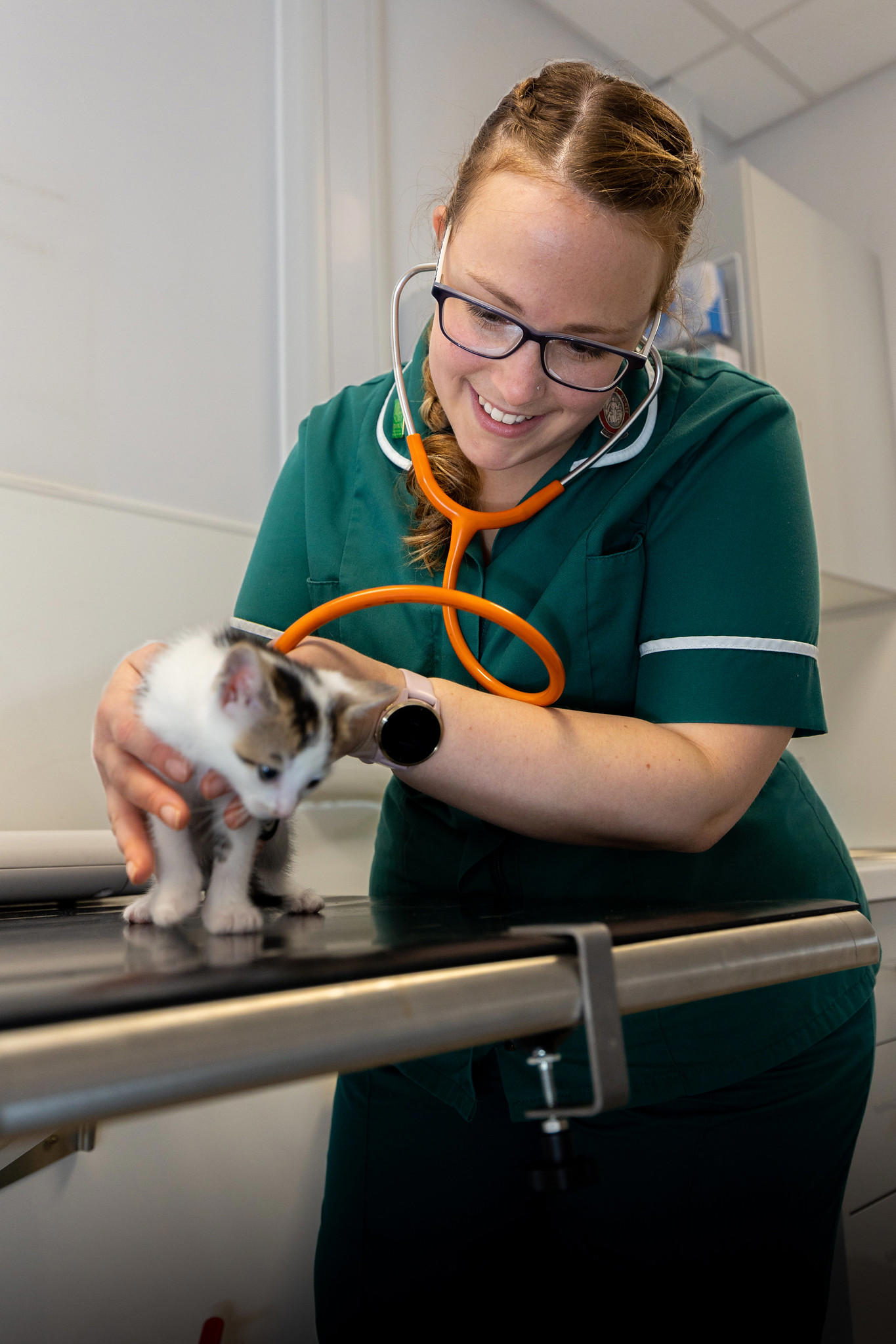 Veterinary Nursing department | Hartpury University & Hartpury College