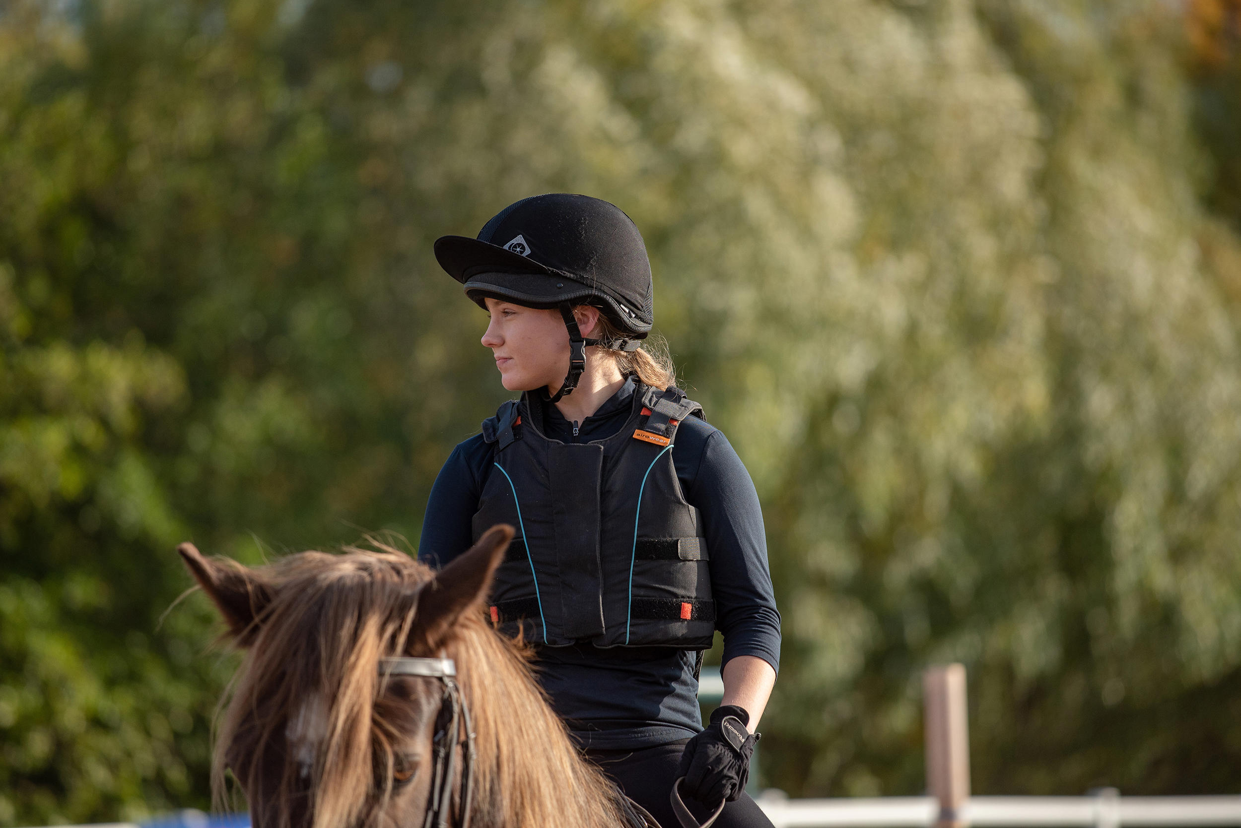 Level 3 Extended Diploma in Equine Science