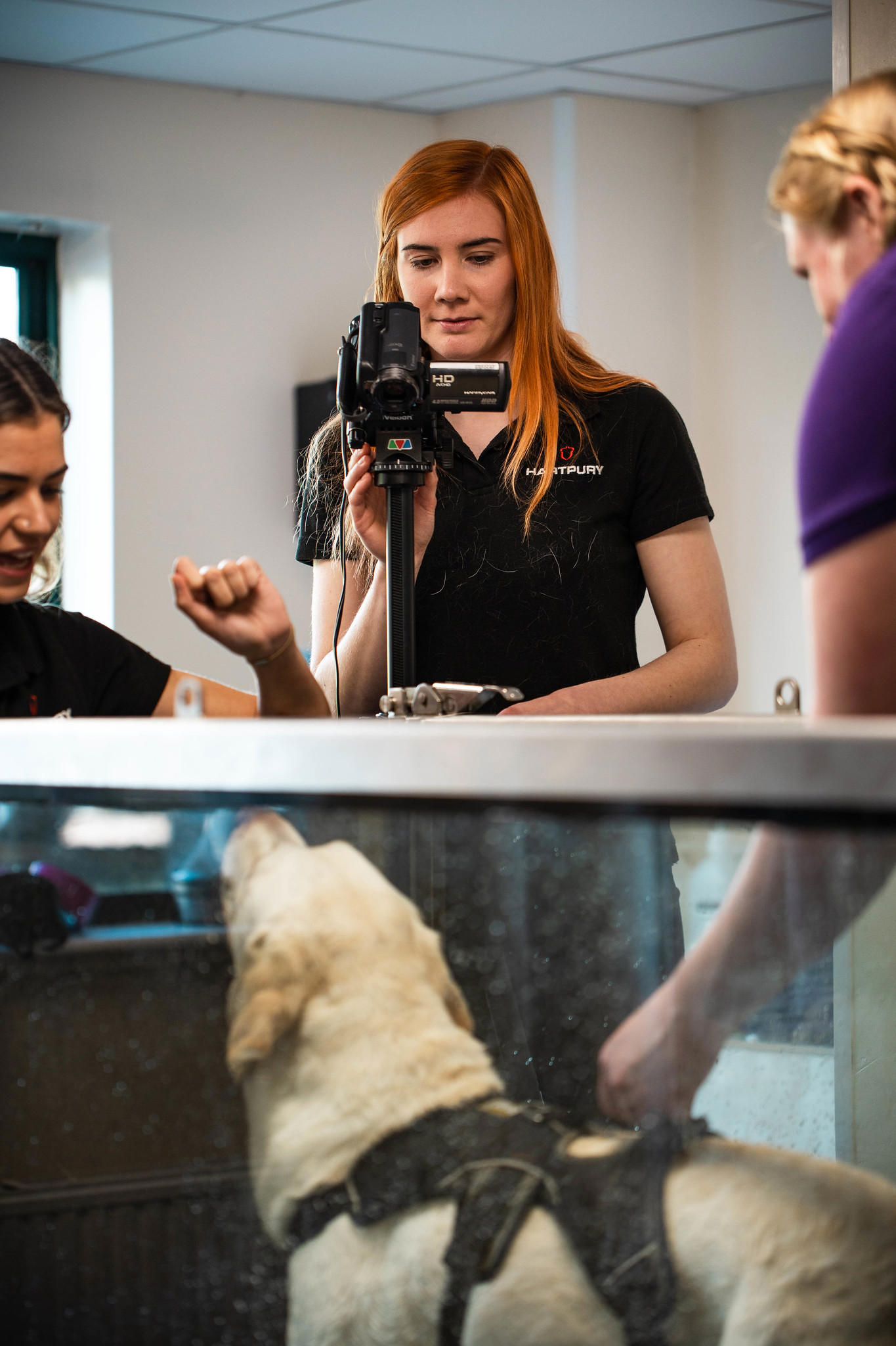 Studentship Scheme | Hartpury University