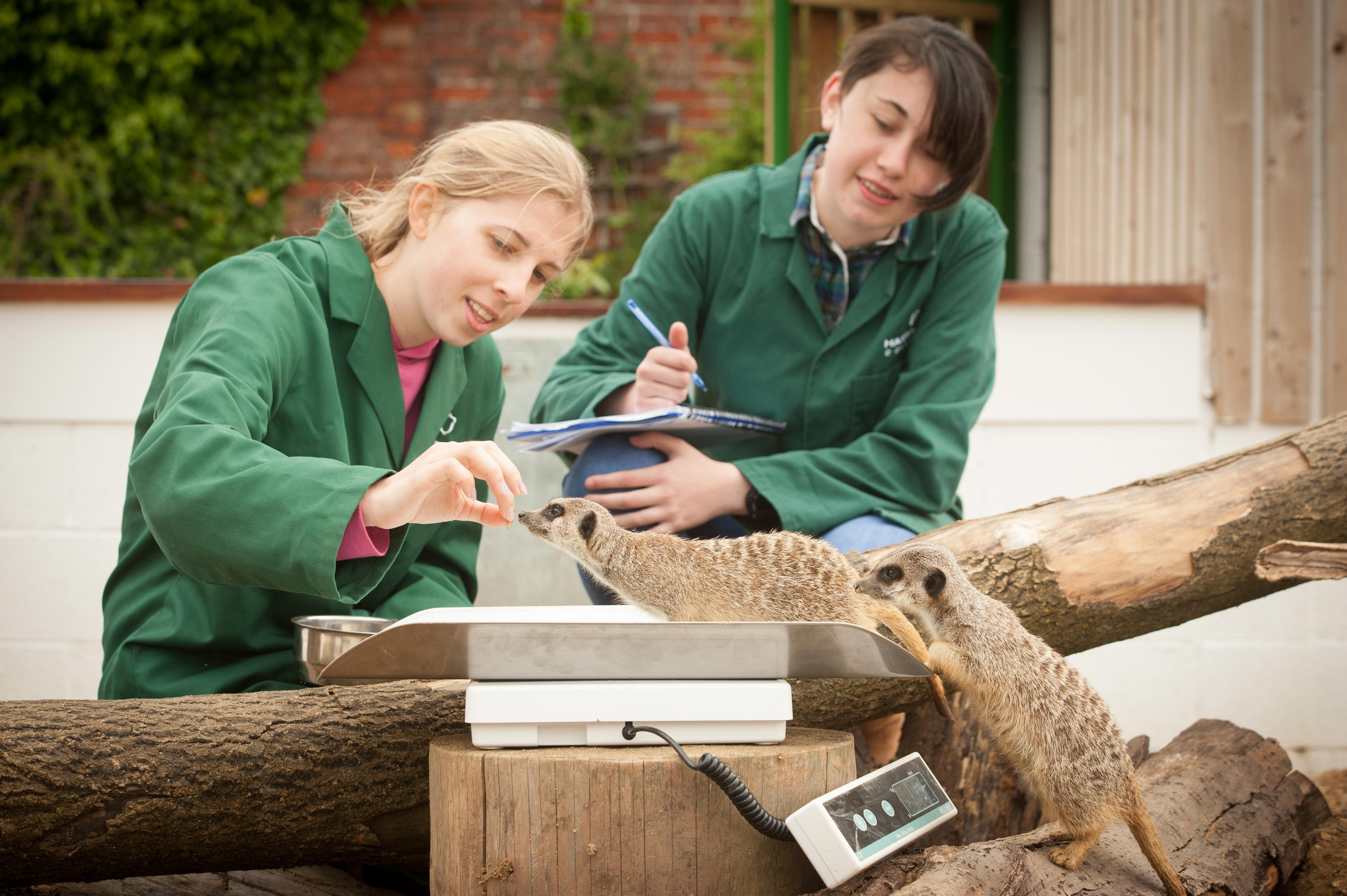 Animal | Hartpury College