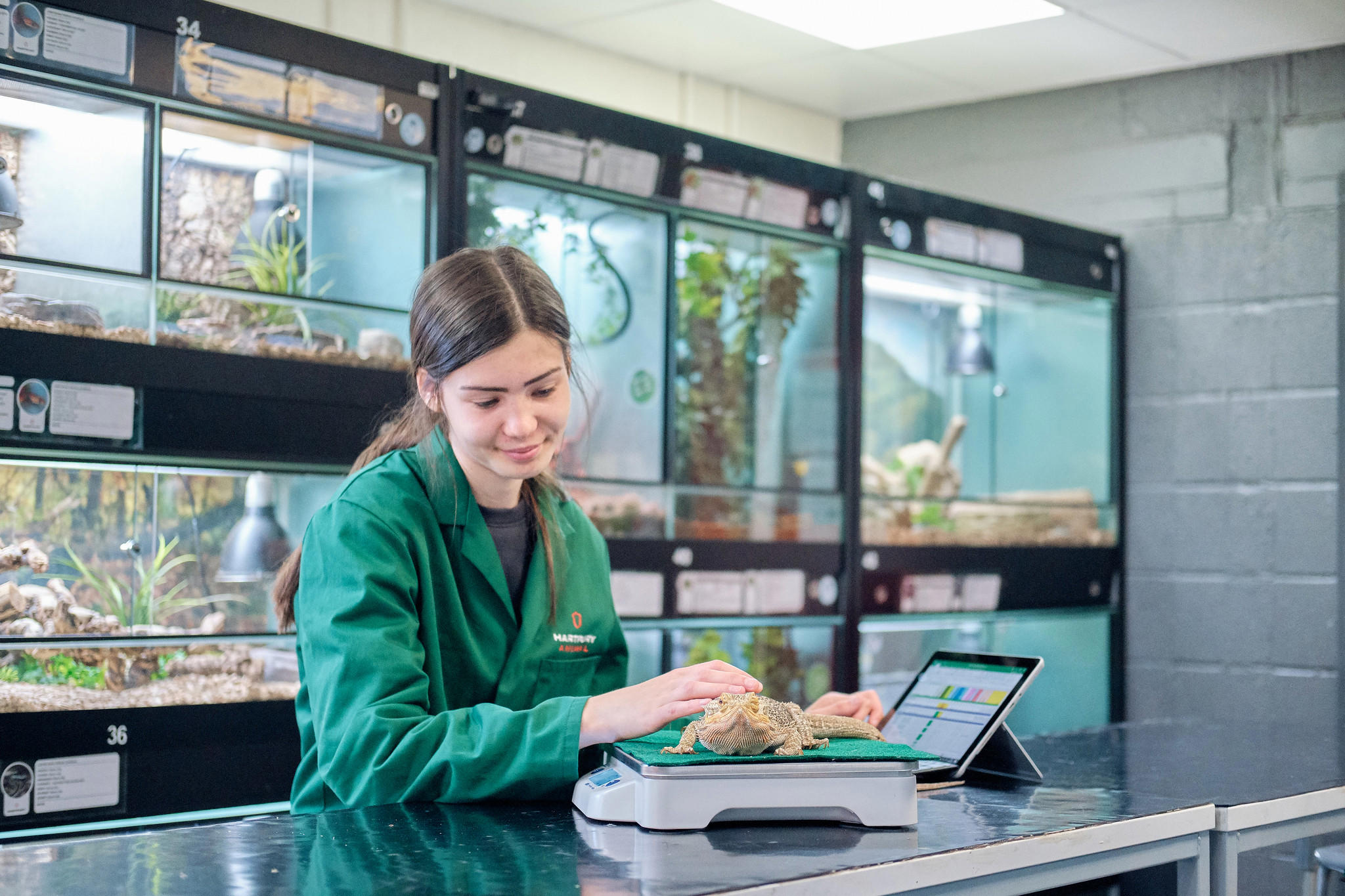 Animal diplomas | Hartpury College