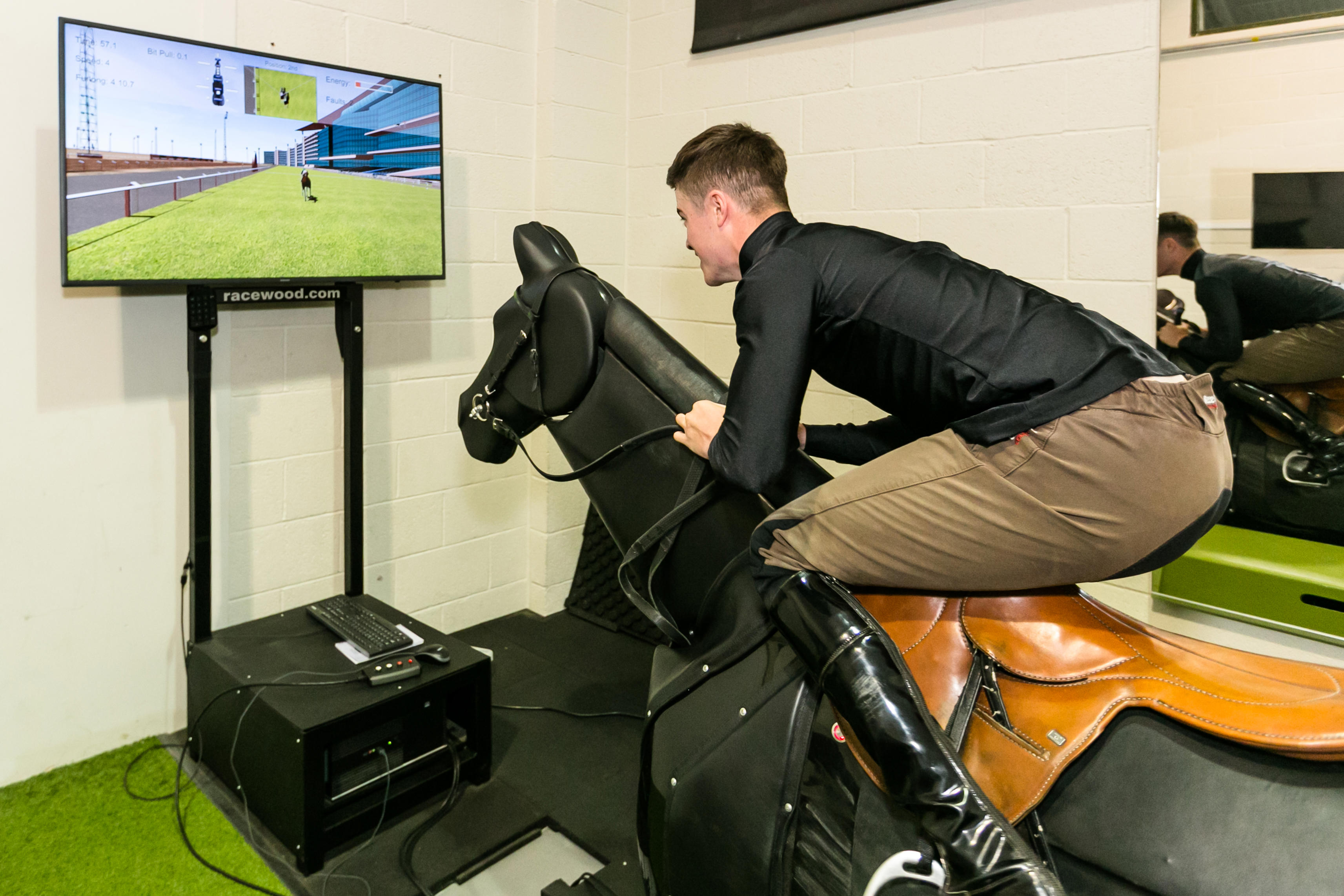 Equine | Hartpury College