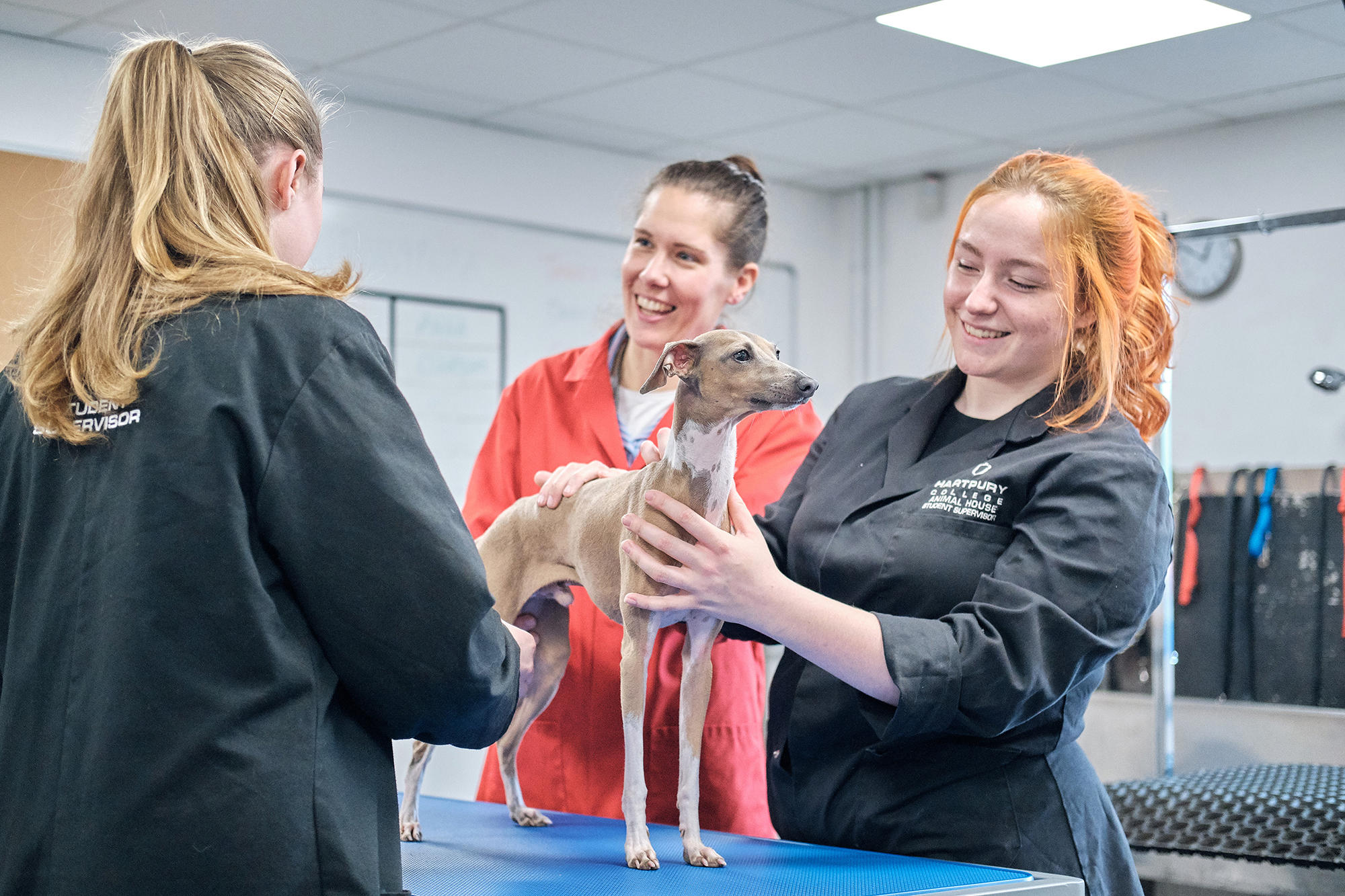 Animal diplomas | Hartpury College