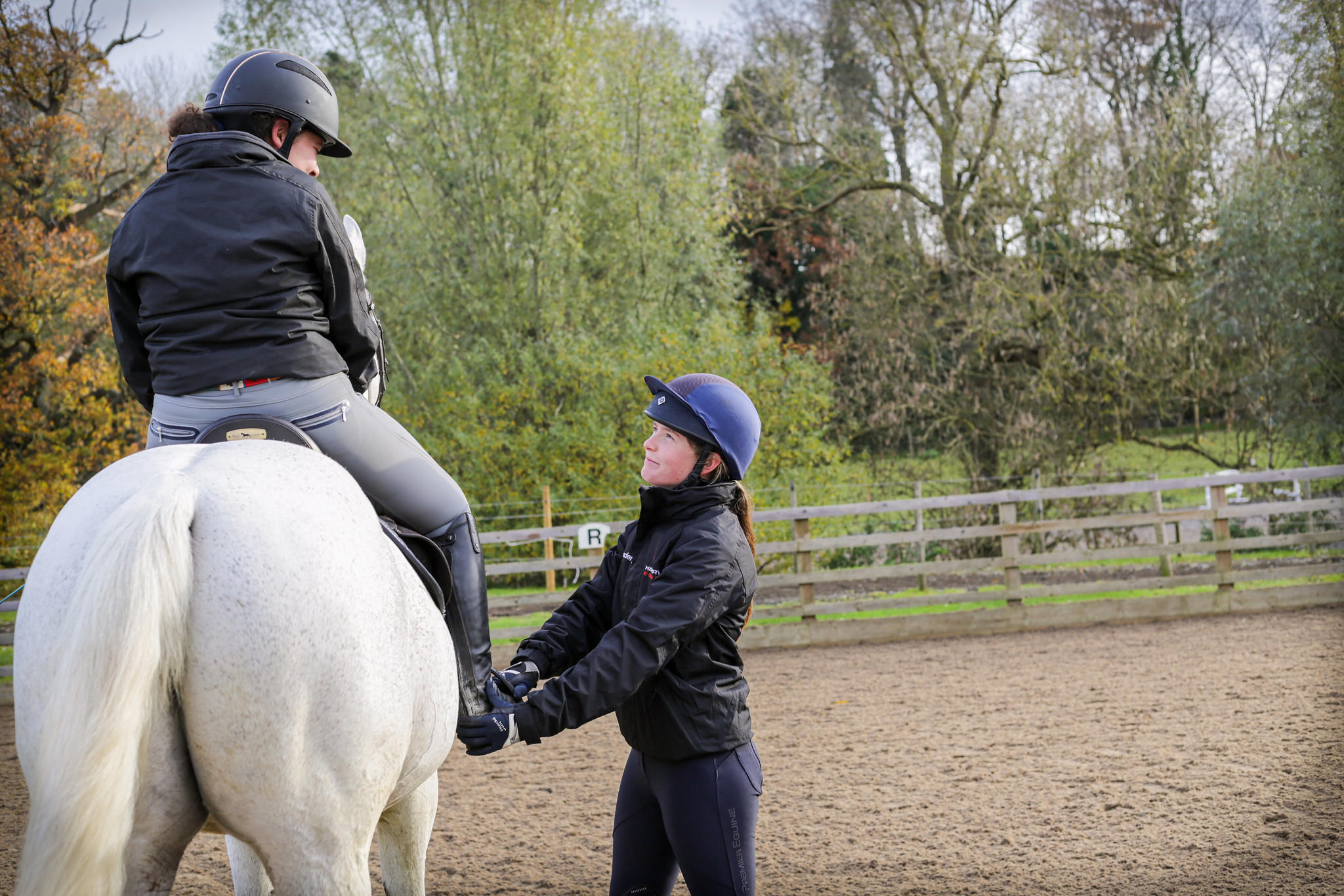 Livery | Hartpury College